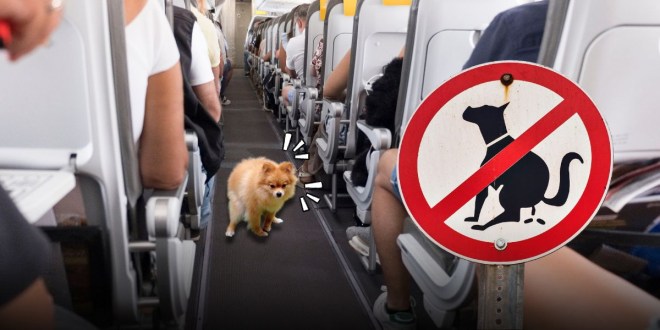 Read - Page 5 of 234 - bay 93.9