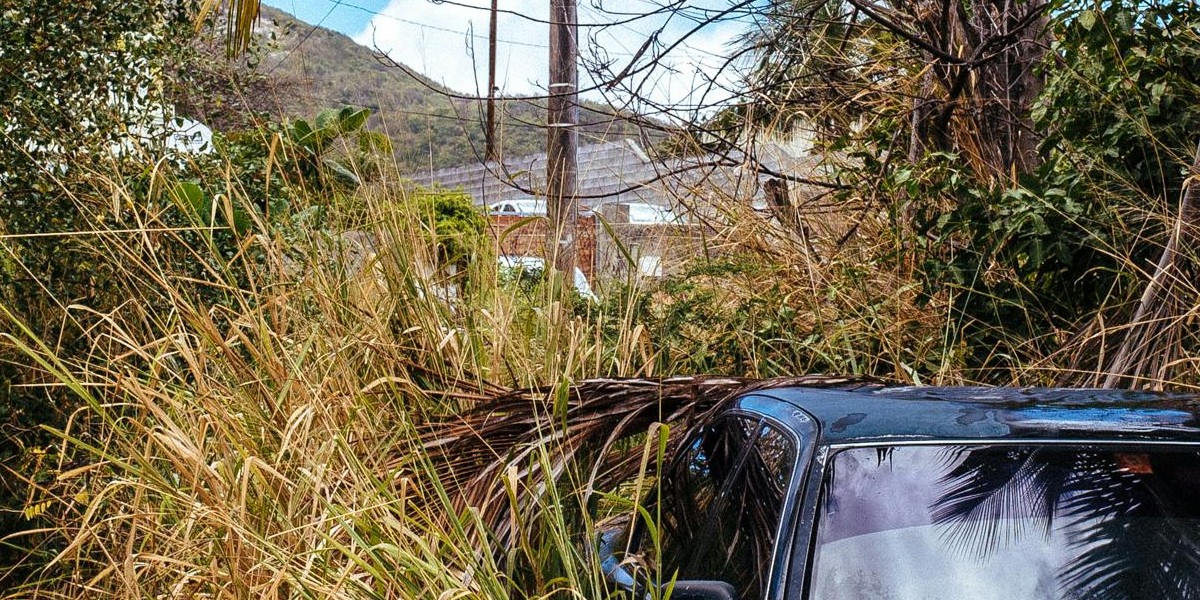 Free green waste for Surf Coast - bay 93.9