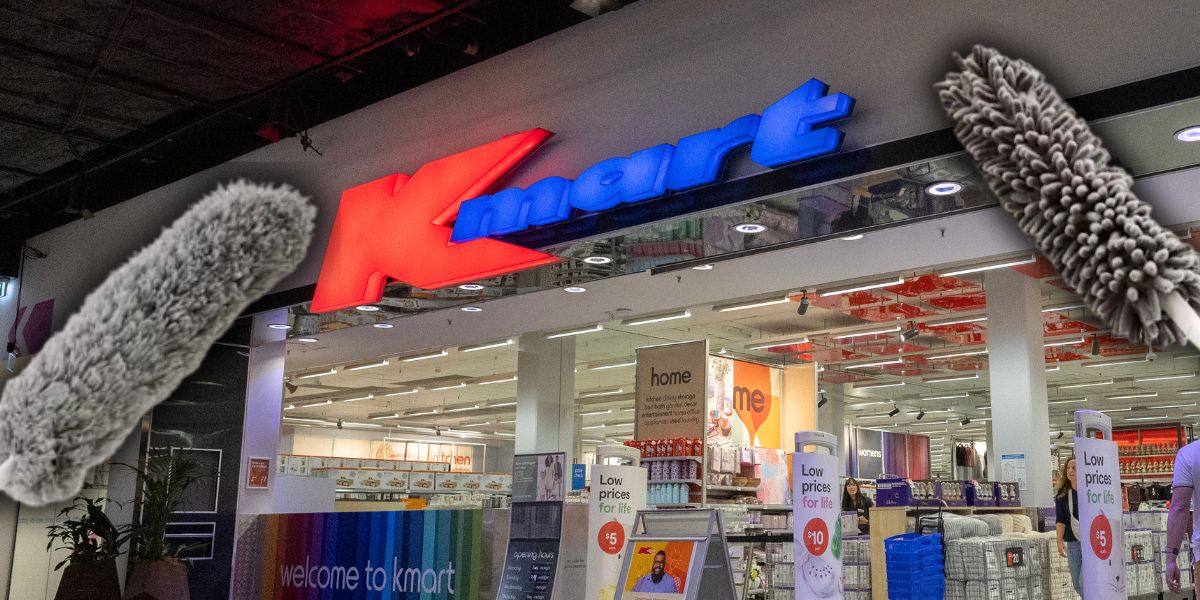 This $8 Item from Kmart Solves Common Home Issues Praises Professional ...
